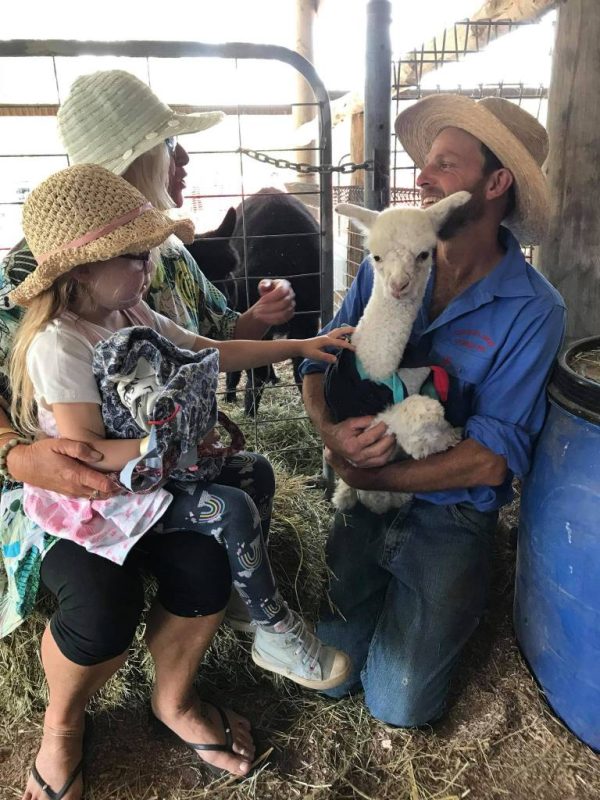 Gallery - Dungog Show: 7 & 8 November 2025