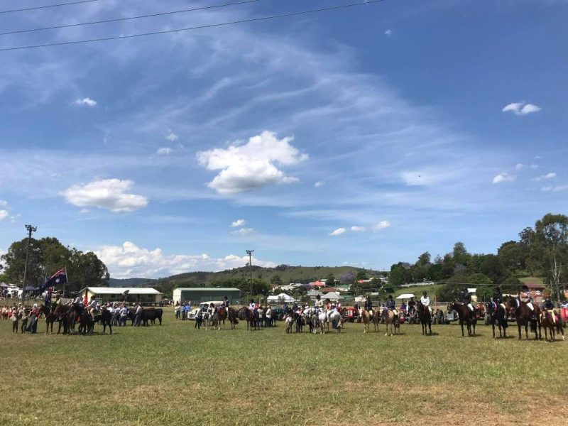 Gallery - Dungog Show: 7 & 8 November 2025
