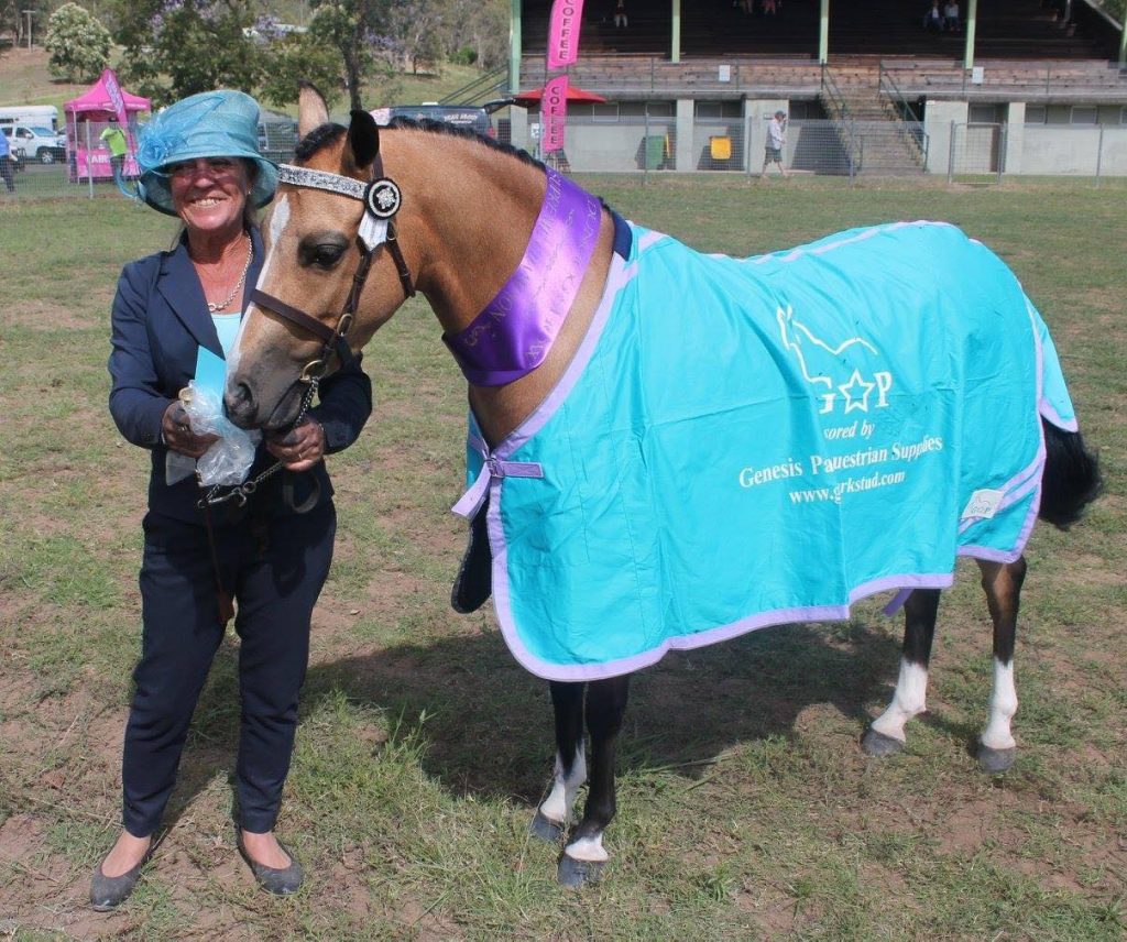 Horses - Dungog Show: 7 & 8 November 2025