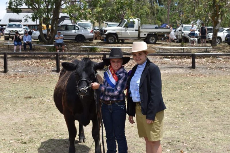 Beef Cattle - Dungog Show