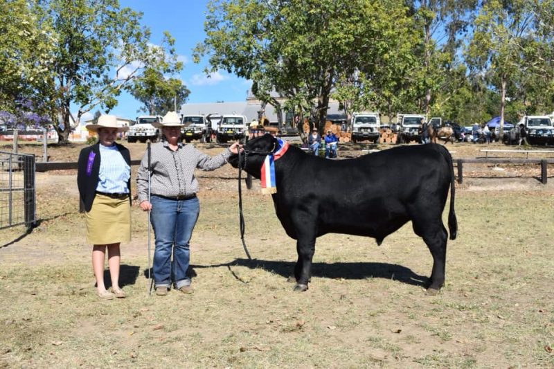Beef Cattle - Dungog Show: 7 & 8 November 2025