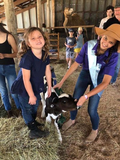 Gallery - Dungog Show