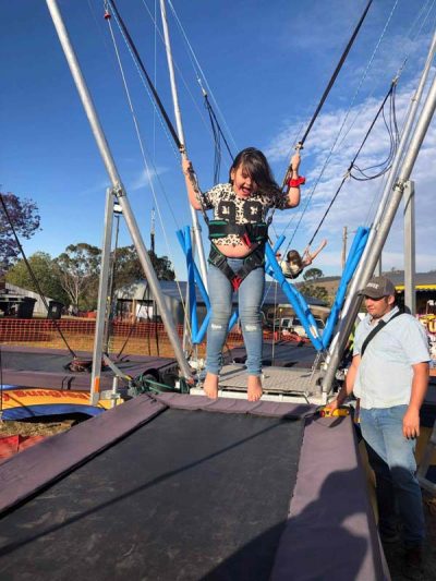 Gallery - Dungog Show