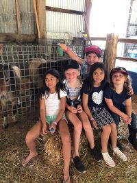 Gallery - Dungog Show